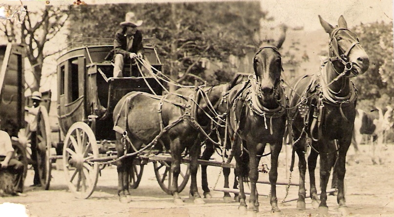 Kathy Otten: Stage Drivers of the Old West