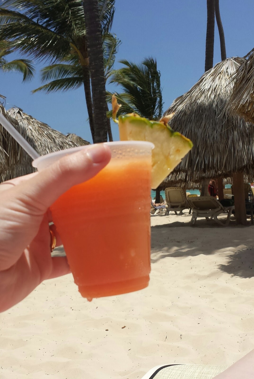 Books and Barrels: Book Review -Hemingway's Girl by Erika Robuck