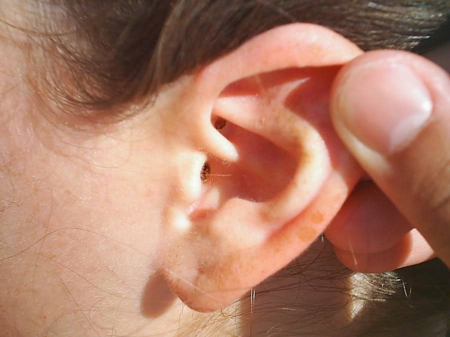 Te sorprenderás... elimina el estrés solo con hacer masajes en tu oreja ...