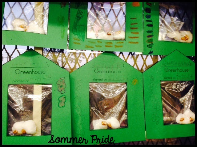 Greenhouses! {FREEBIE}