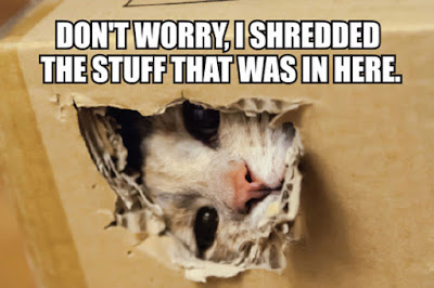 Uptown Update: Shredding Services Available