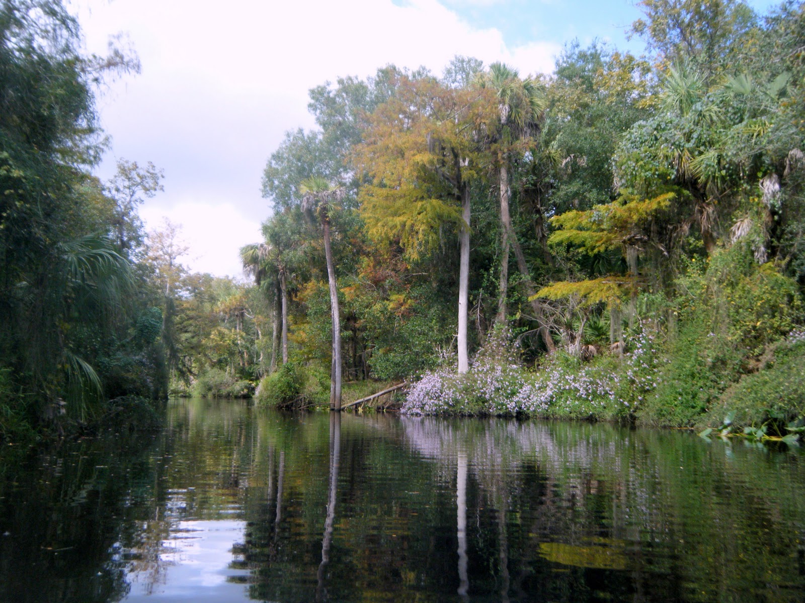 Field Notes and Photos: Shell Creek Paddle: a Sierra Club Outing