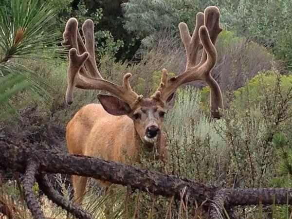 The Rural Blog: Bend, Ore. media takes unusual approach of giving famed ...