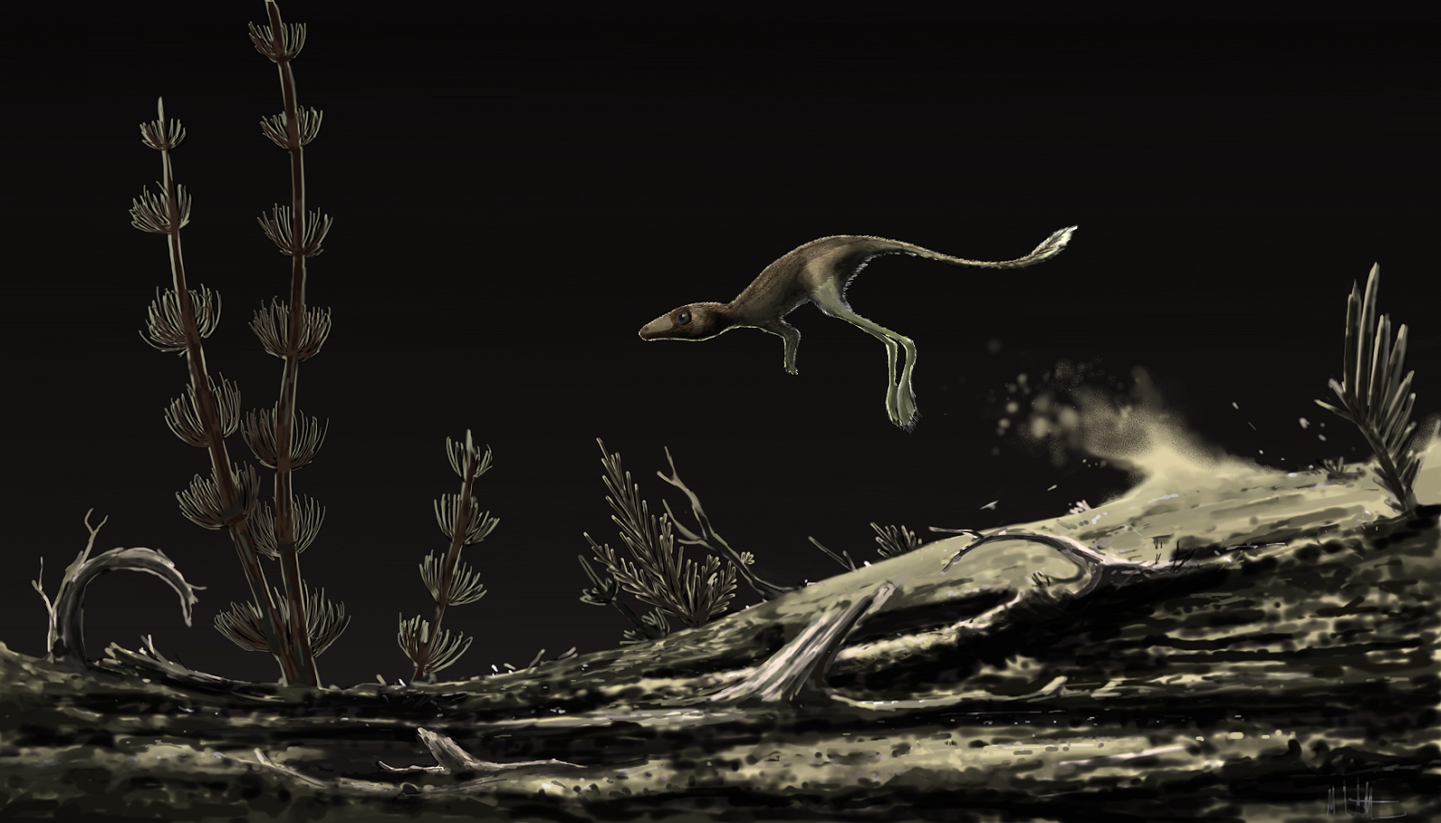 Ilústranos... Mark Witton | Dinosaurios (El Cuaderno de Godzillin)