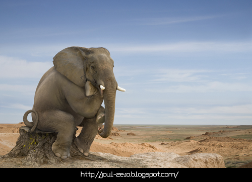 GAJAH DUDUK VERSI BUKAN KAIN PELIKAT - SEMPOI CORNER DISINI