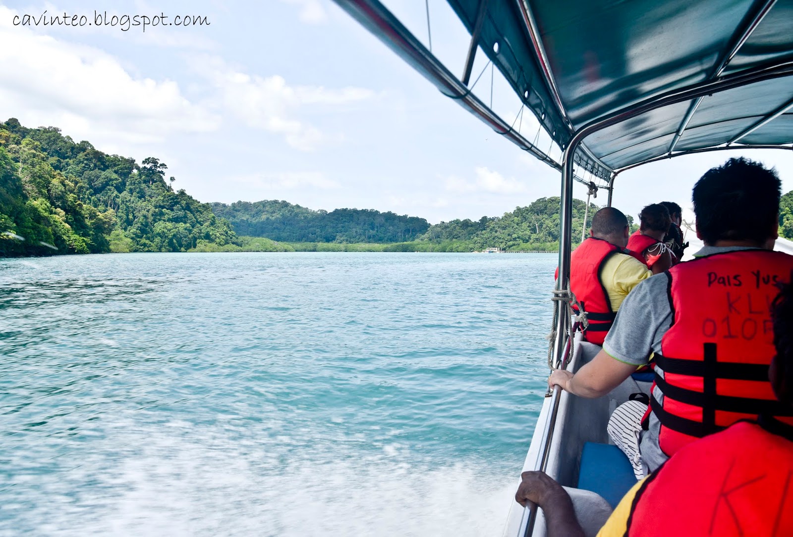 Entree Kibbles: Eagle Feeding at Pulau Singa Besar - Part of the ...