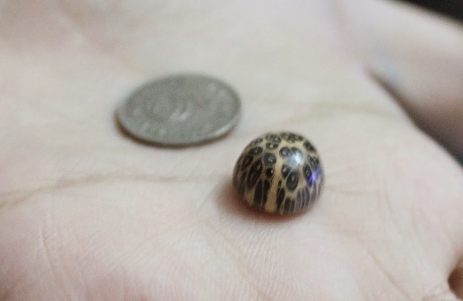 Geliga Idaman: Kayu Bertam