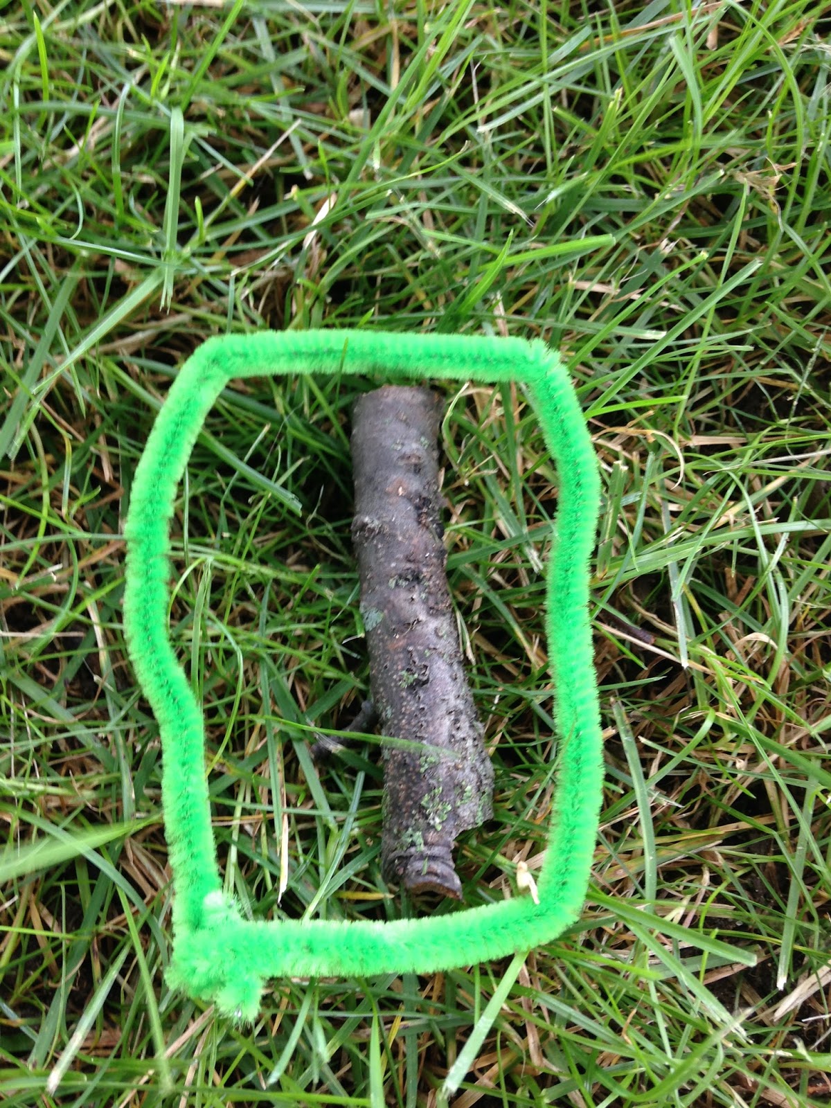 Inside Outside Michiana: Shapes in Nature: Pipe Cleaners!