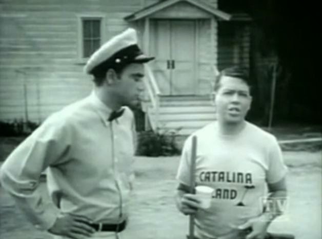 The 'Vic and Sade' Notebook: Bill Idelson on My Three Sons