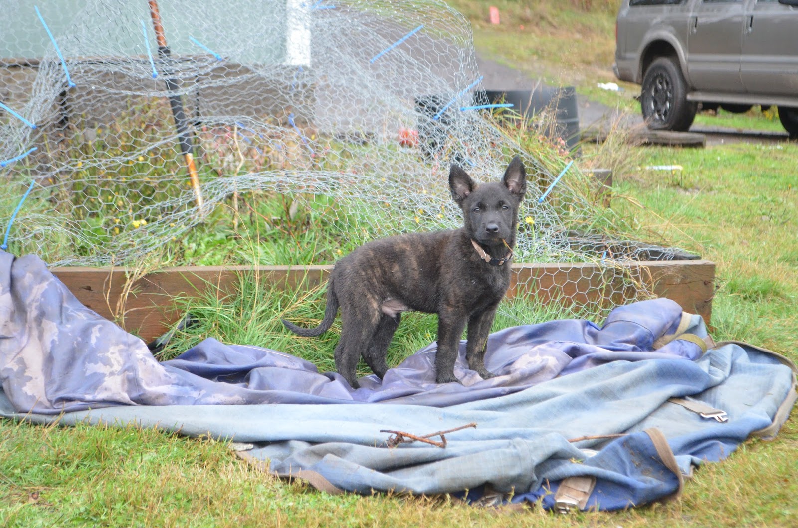 Pleasant Dreams Farm: T minus 7 days.