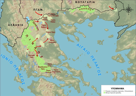 Μαγικό Καπέλο: Η ΚΑΦΕ ΑΡΚΟΥΔΑ και άλλα ΖΩΑ ΤΟΥ ΔΑΣΟΥΣ