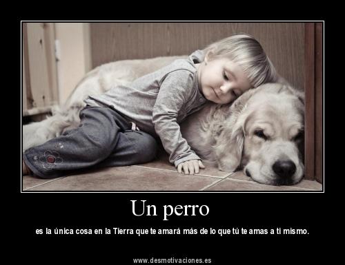 Mascotas por amor - Imagui