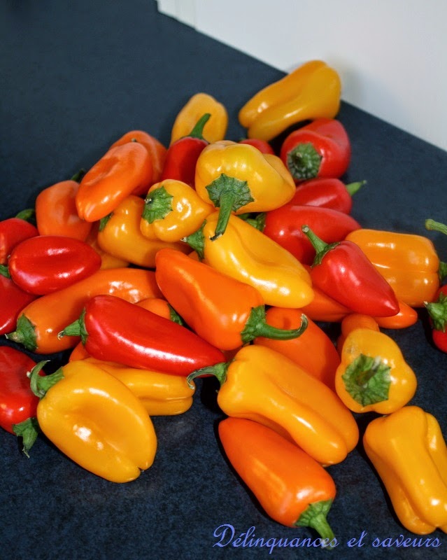 Délinquances et saveurs: Mini poivrons nachos au poulet