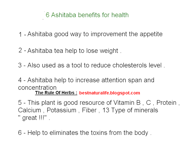 6 Ashitaba Benefits For Health - Healing Herbs