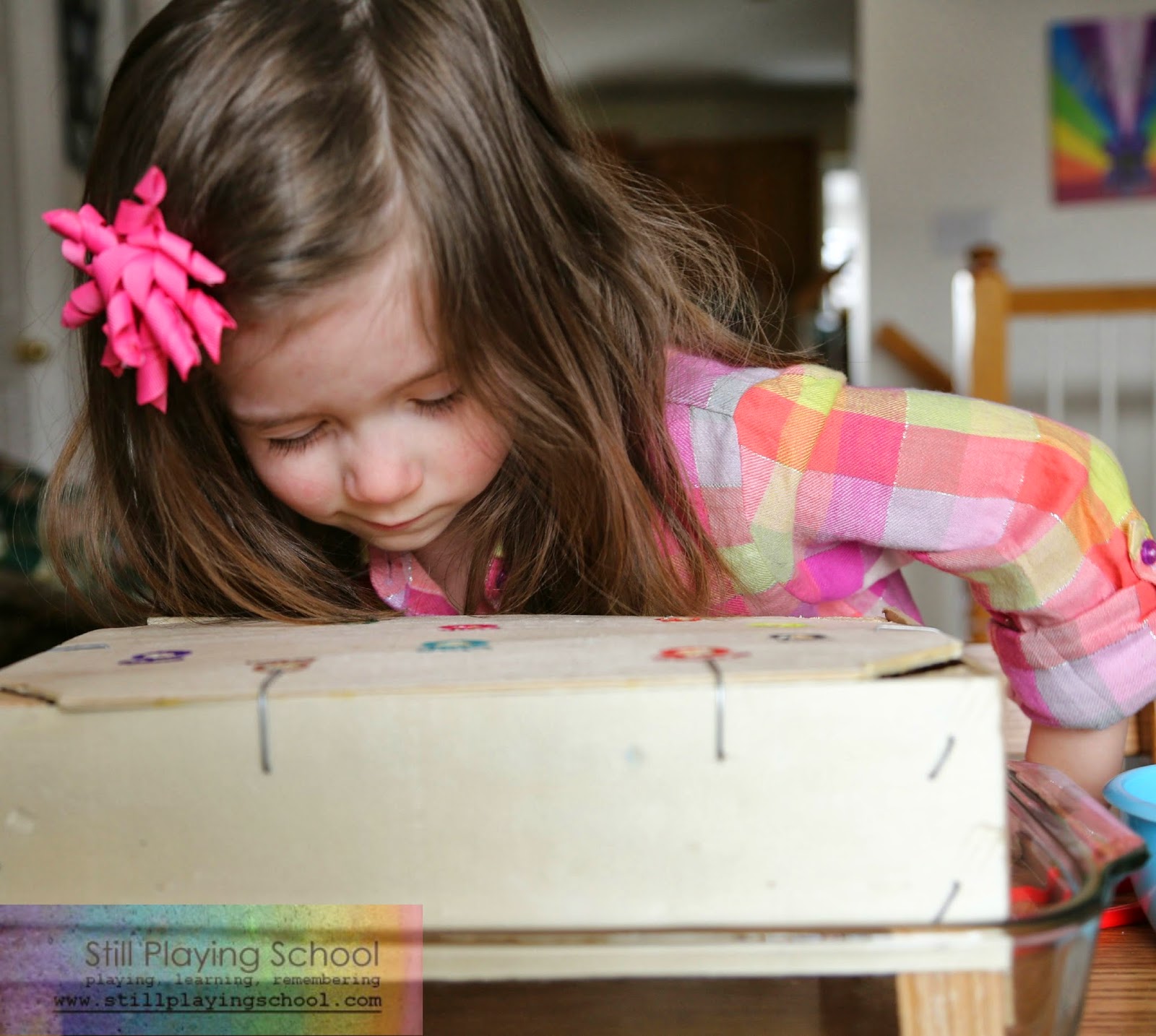 Color Sorting Box | Still Playing School