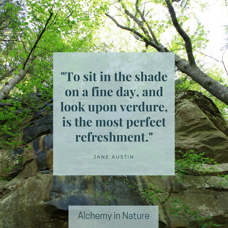 Alchemy in Nature: 2017