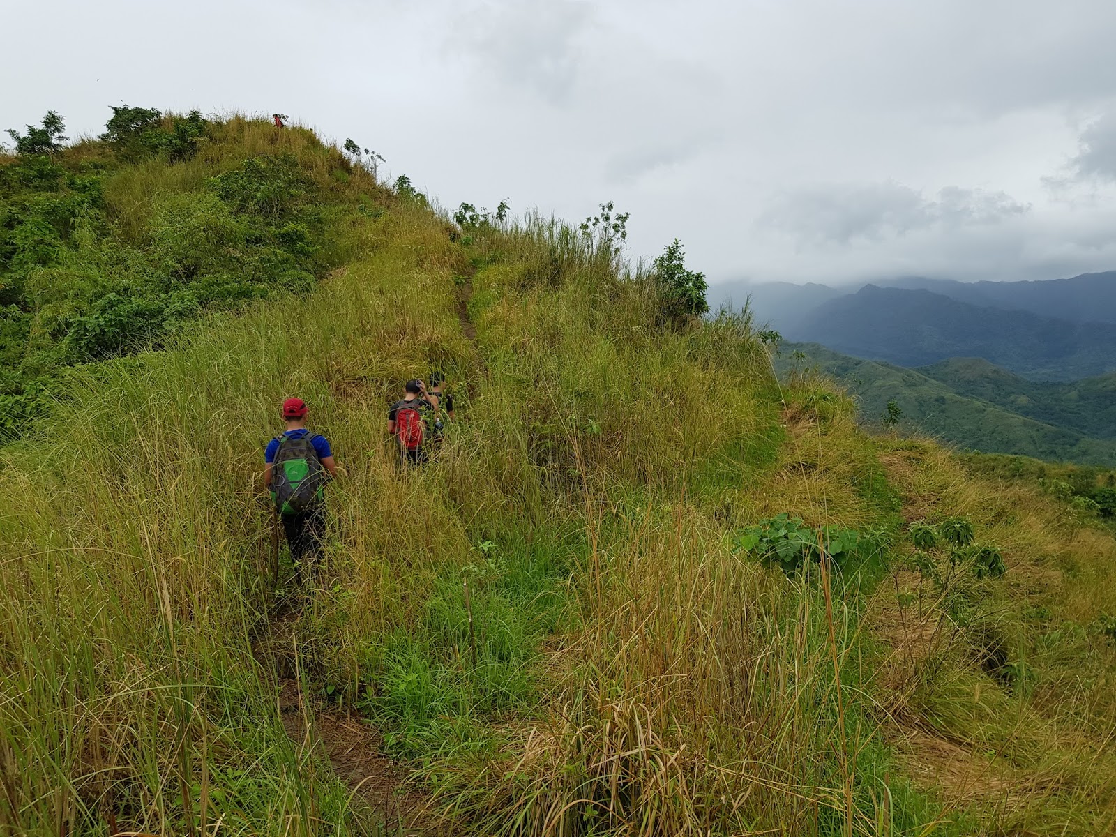 Mt. Sipit Ulang and Mt. Ayaas Twin Hike: Doable but not recommended ...