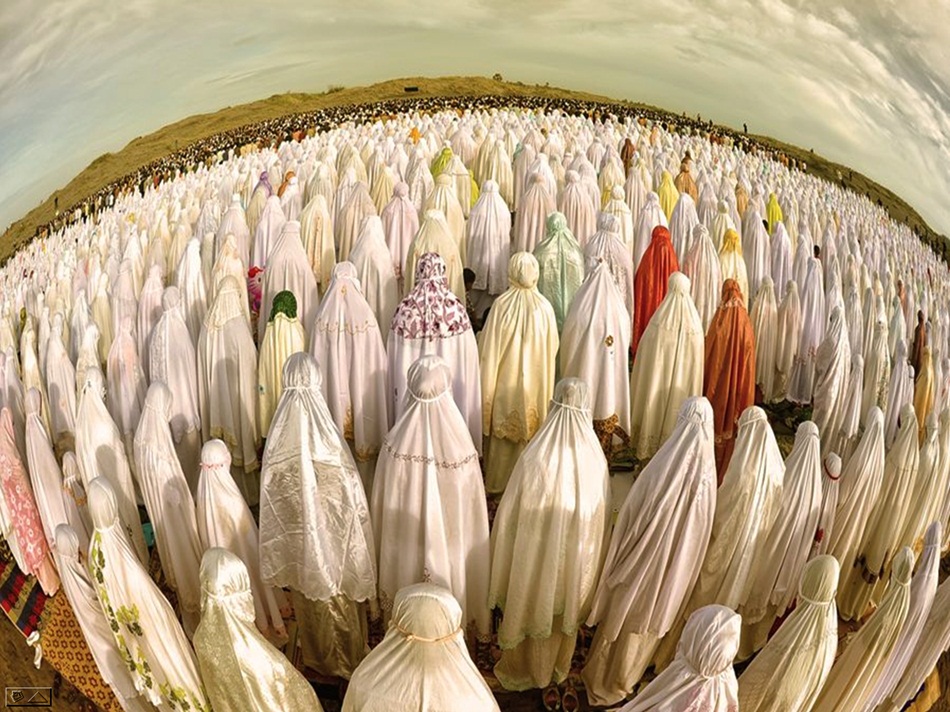 Amaze Pics & Vids: Unique Photos - Beautiful Collection...