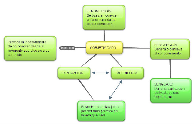 Técnicas de Entrevista y Observación: Mapa Conceptual
