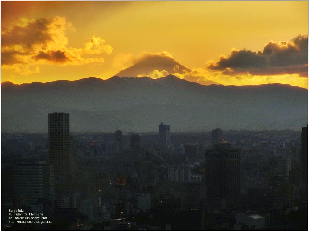 Thailand here ทริปตามใจ ไปตามทาง: โตเกียว ทาวเวอร์ ญี่ปุ่น Tokyo Tower ...