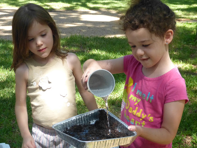 Paula's Primary Classroom: International Mud Day