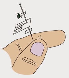 Rustin's Collection Mounting Guide: Point Mounting Small Specimens