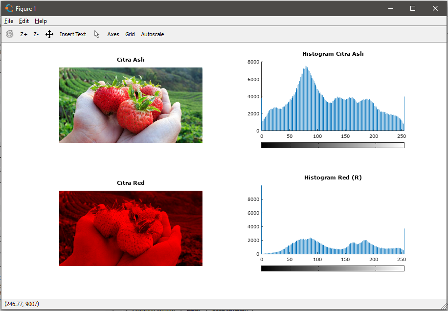 TUGAS MATA KULIAH DATA MINING: Pengolahan Citra Digital menggunakan OCTAVE