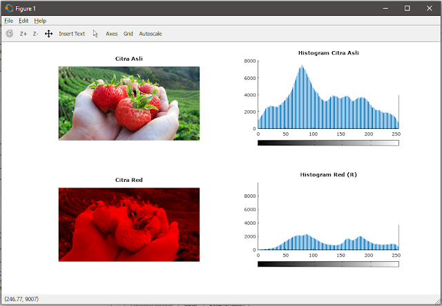 TUGAS MATA KULIAH DATA MINING: Pengolahan Citra Digital menggunakan OCTAVE