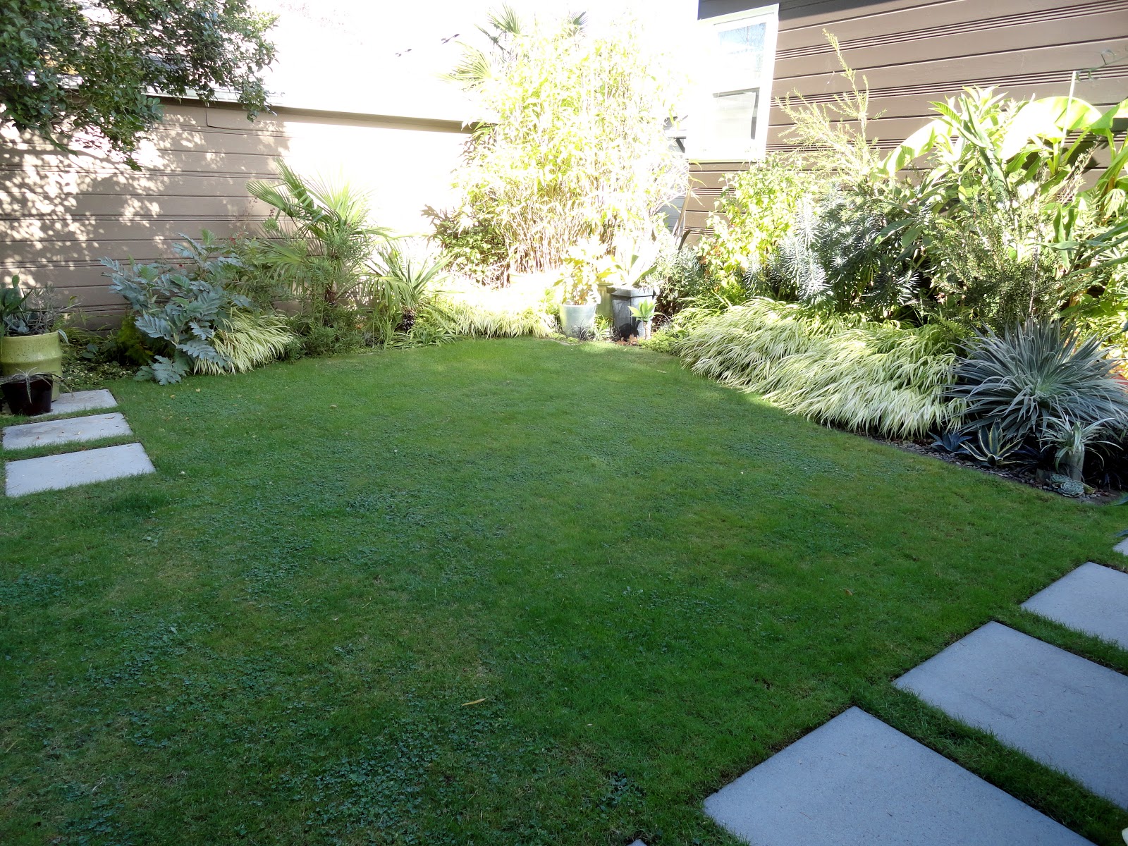 danger garden: Our back garden, the next step?