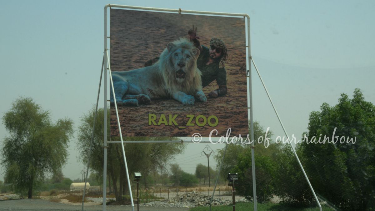 Colors of our Rainbow: Ras al Khaimah - Places to visit- RAK ZOO ...