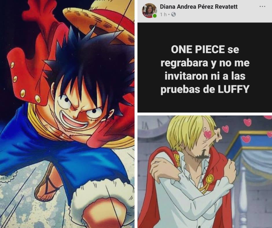 One Piece tendrá redoblaje al español latino | Otaku Press