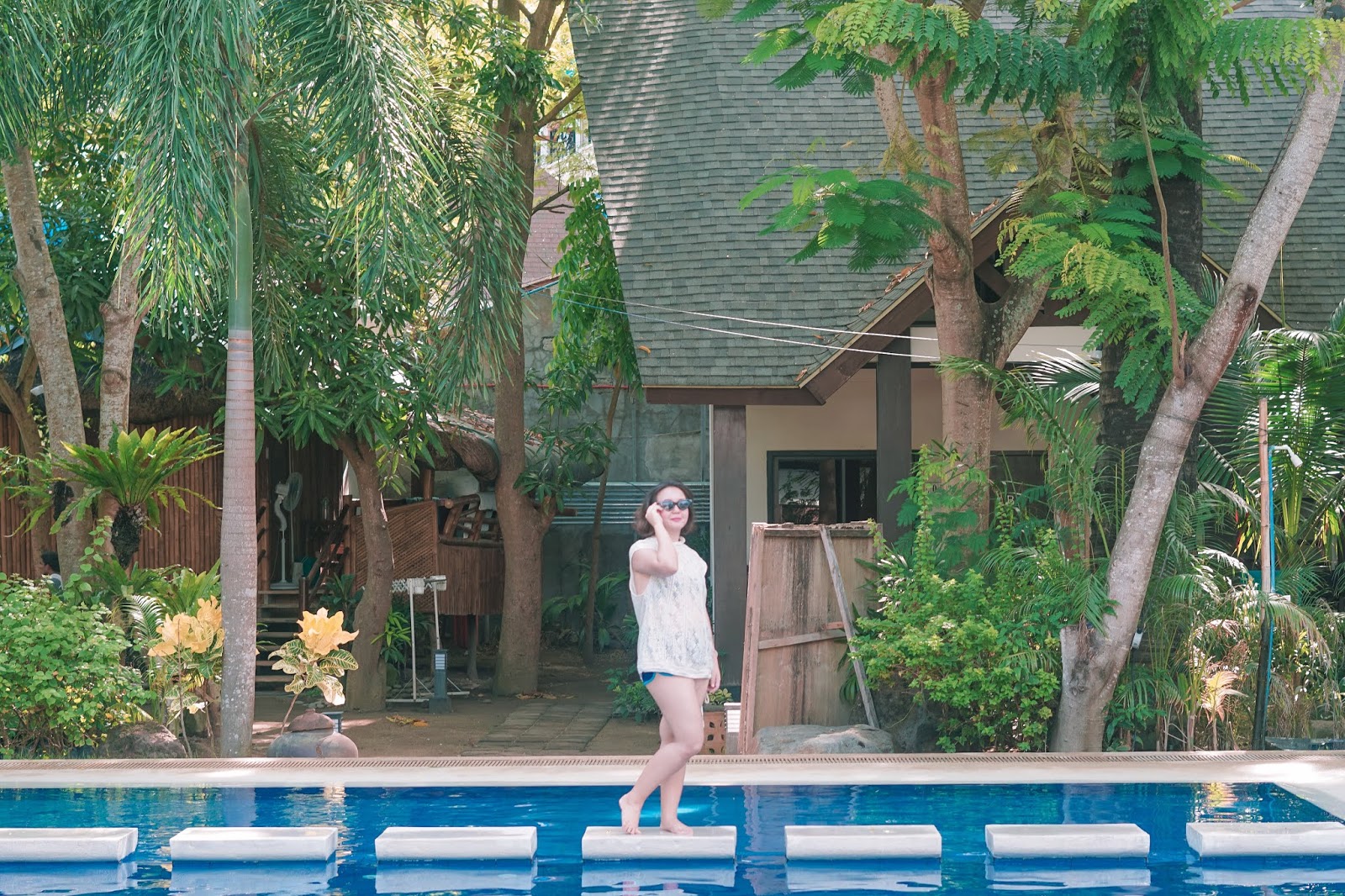 Confessions Part 12: The Week that Was - Pieces of Liz