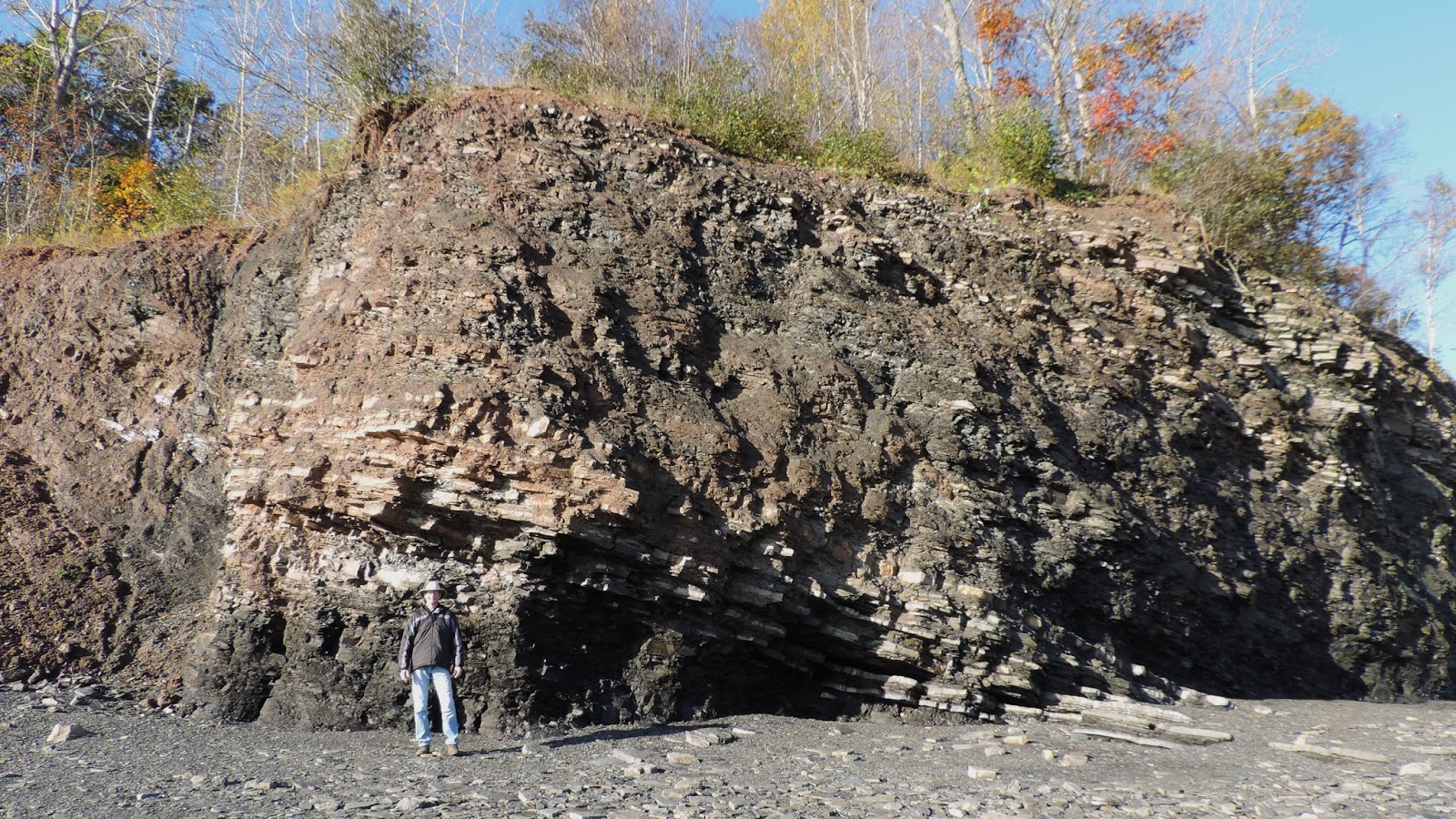 Travel with Kevin and Ruth: Fossil Hunting at Blue Beach, Nova Scotia