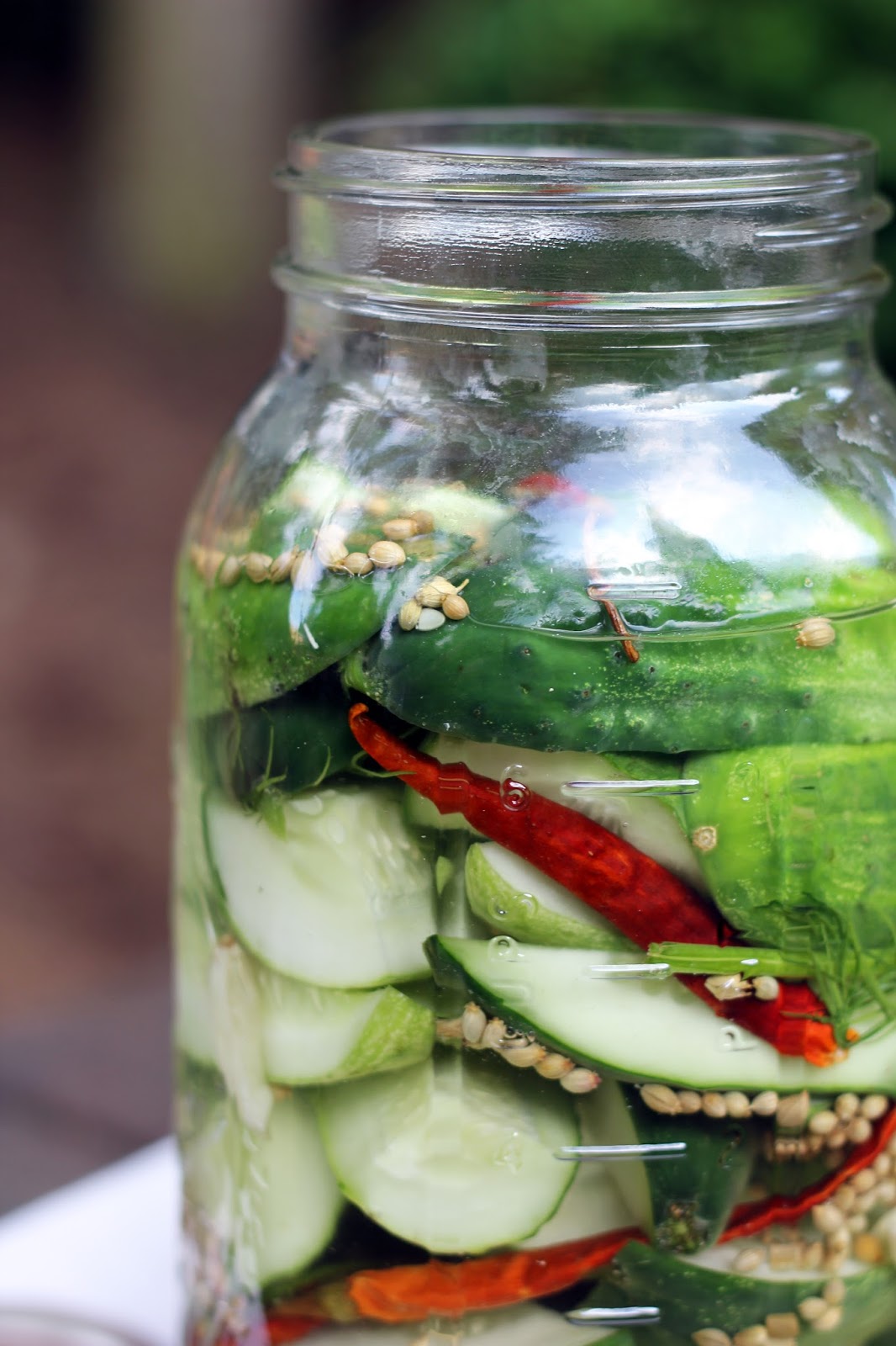 Blue Kale Road: Summer Pickles