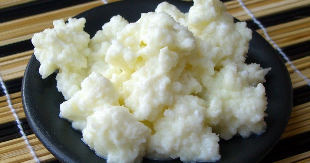 Tibetský vodný kefír,Čínska huba kombucha, tibetský mliečny kefír ...