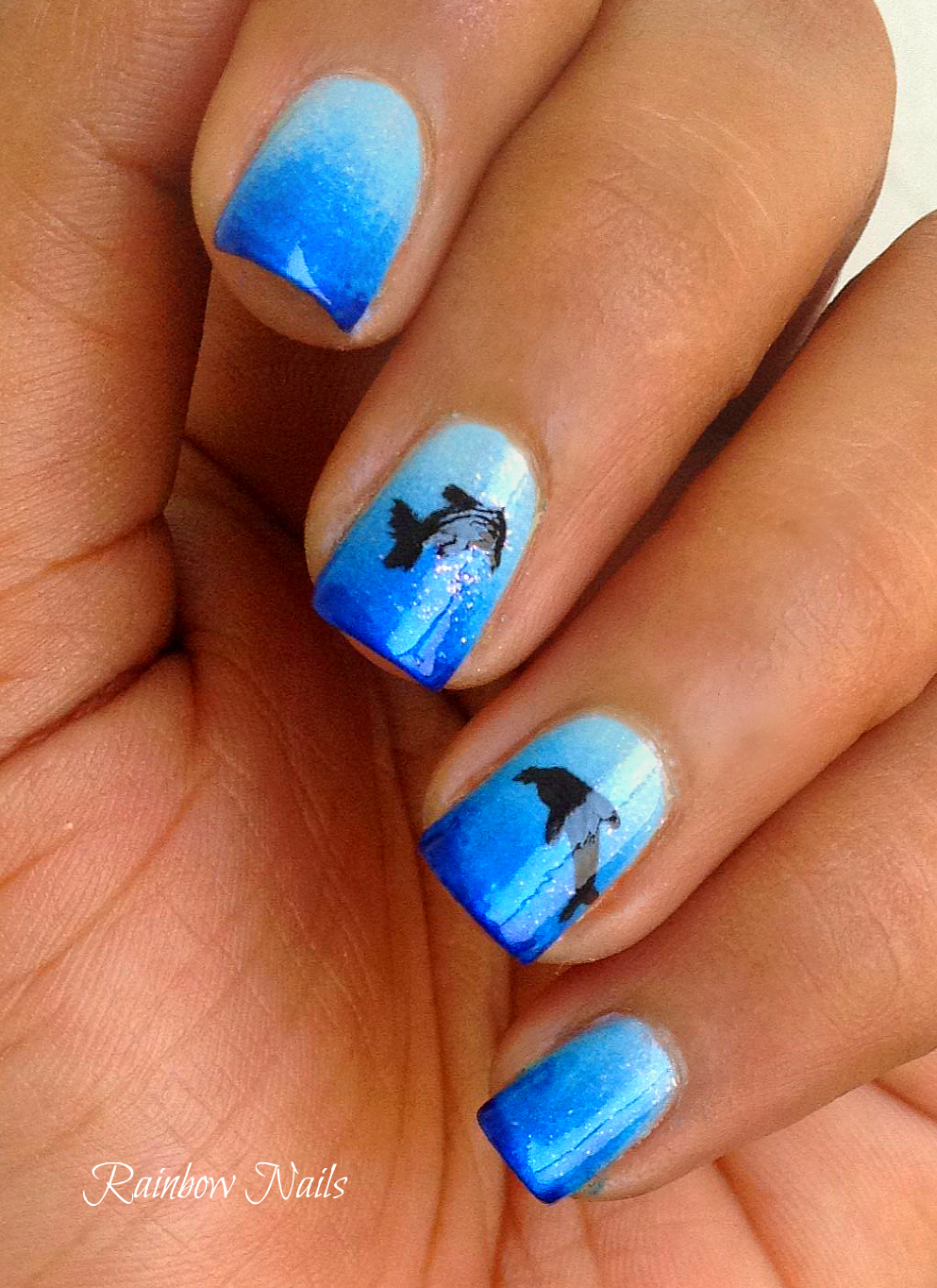 Nail Designs Dolphin | Nail Art Designs