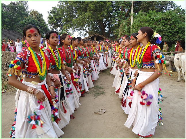 KAILALI DISTRICT FEATURES ! | ONLINE MEDIA NEPAL