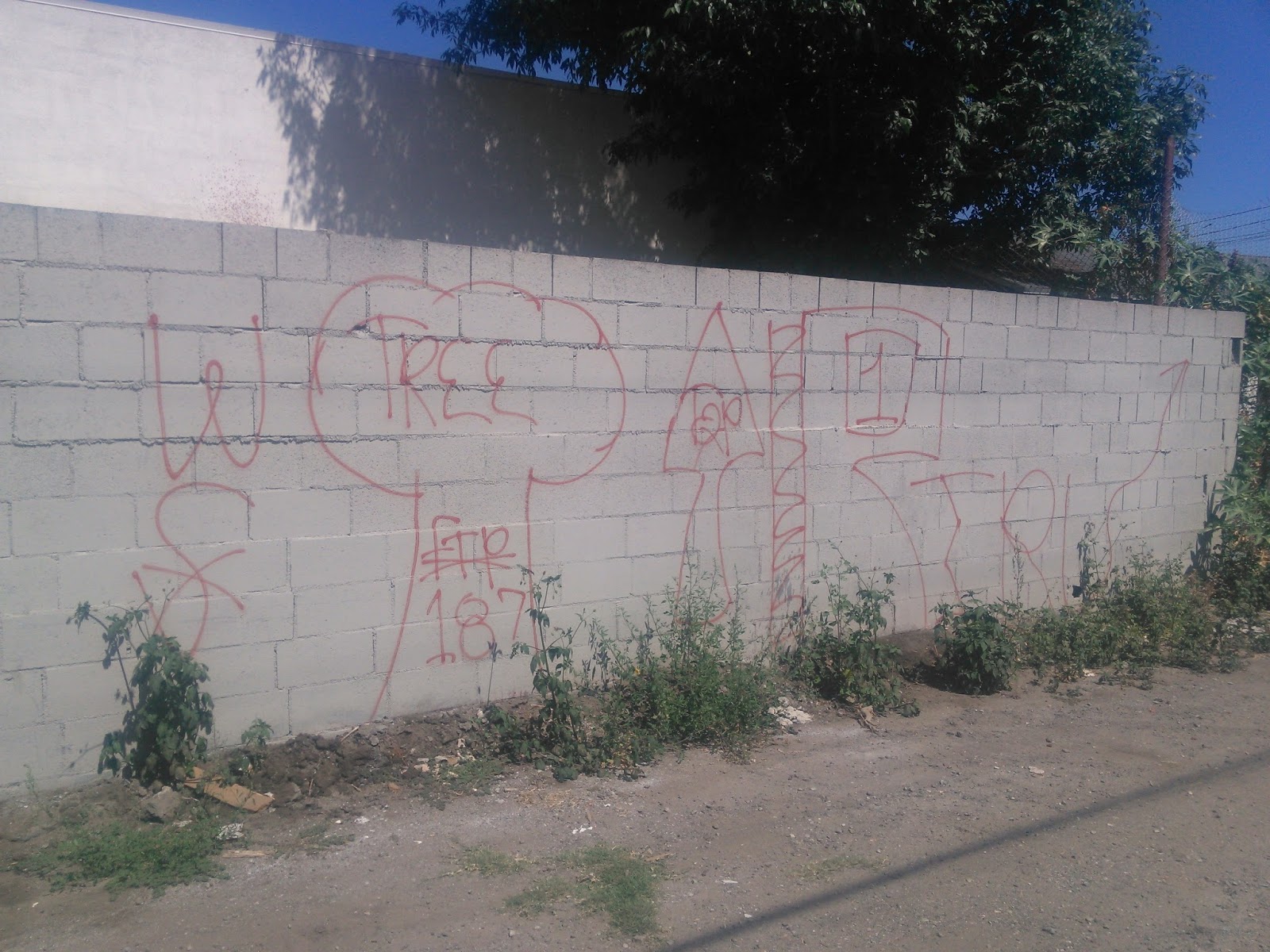 blood piru brims gangs graffiti: Tree top piru ( compton )