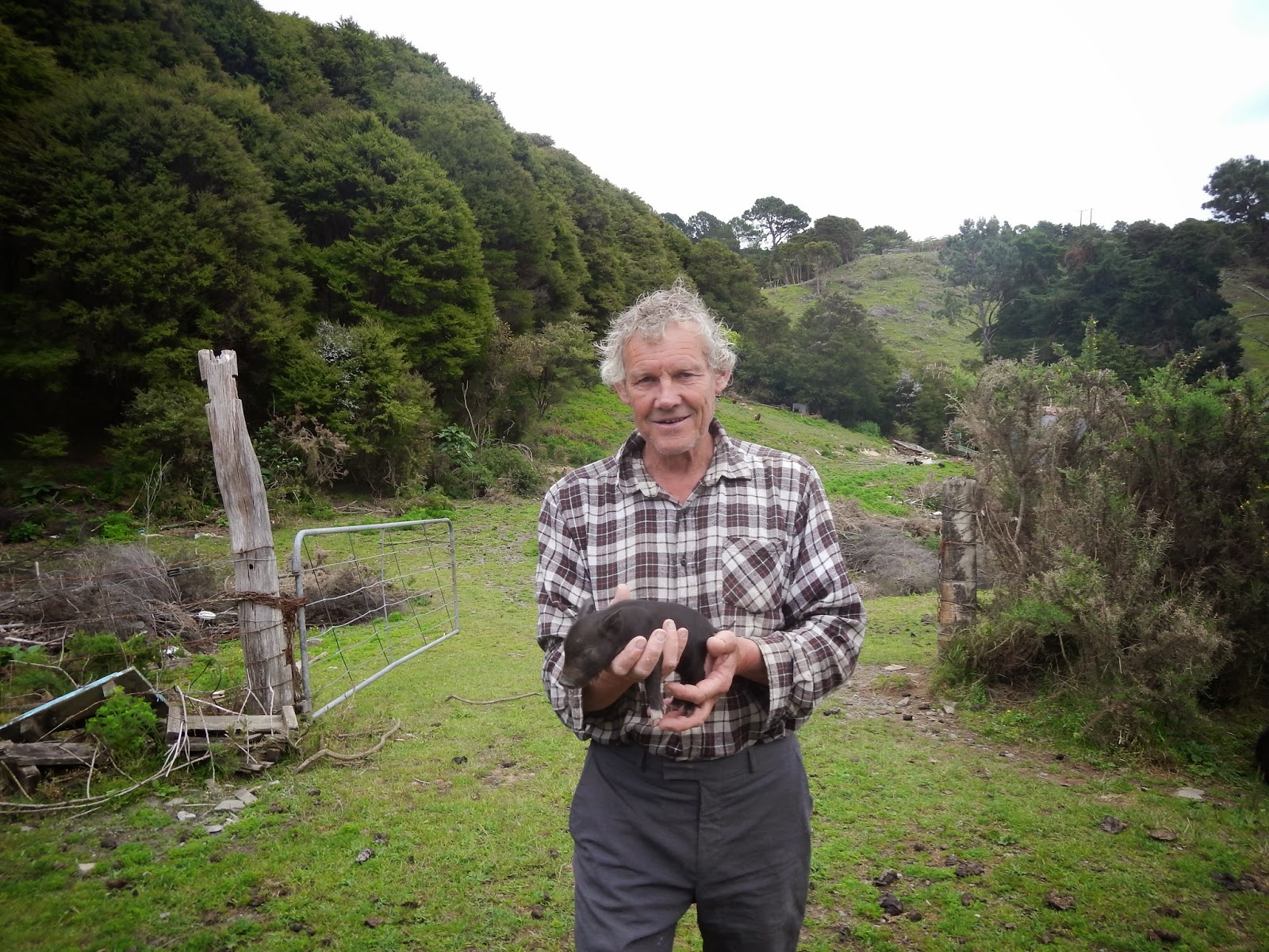 Kiwi Adventure: The Coromandel Peninsula, Cathedral Cove, Hot Water ...