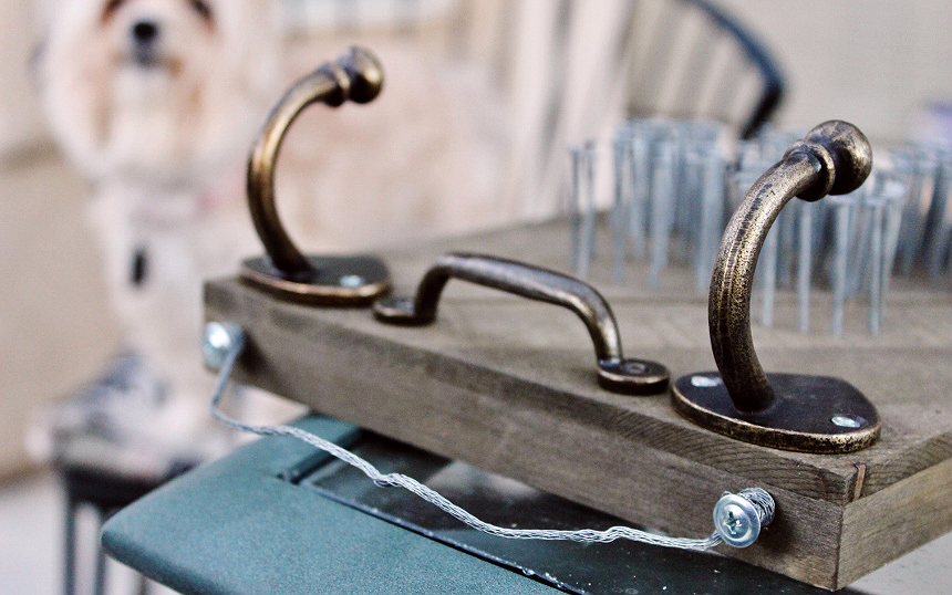 Momma Told Me: Treating With #NutrishPets + D.I.Y Leash Station Tutorial