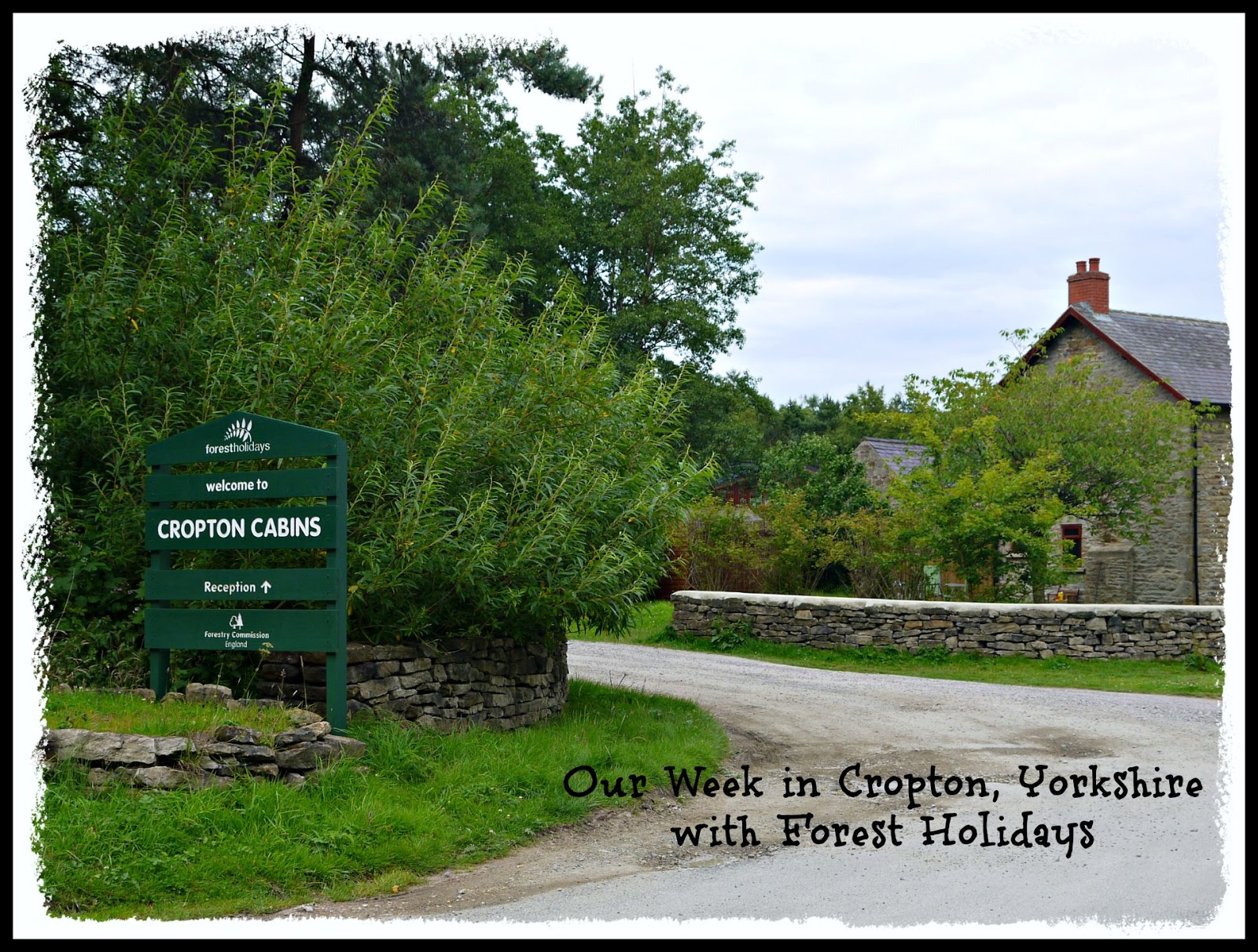 Inside the Wendy House: A Wonderful Week in Yorkshire with Forest Holidays