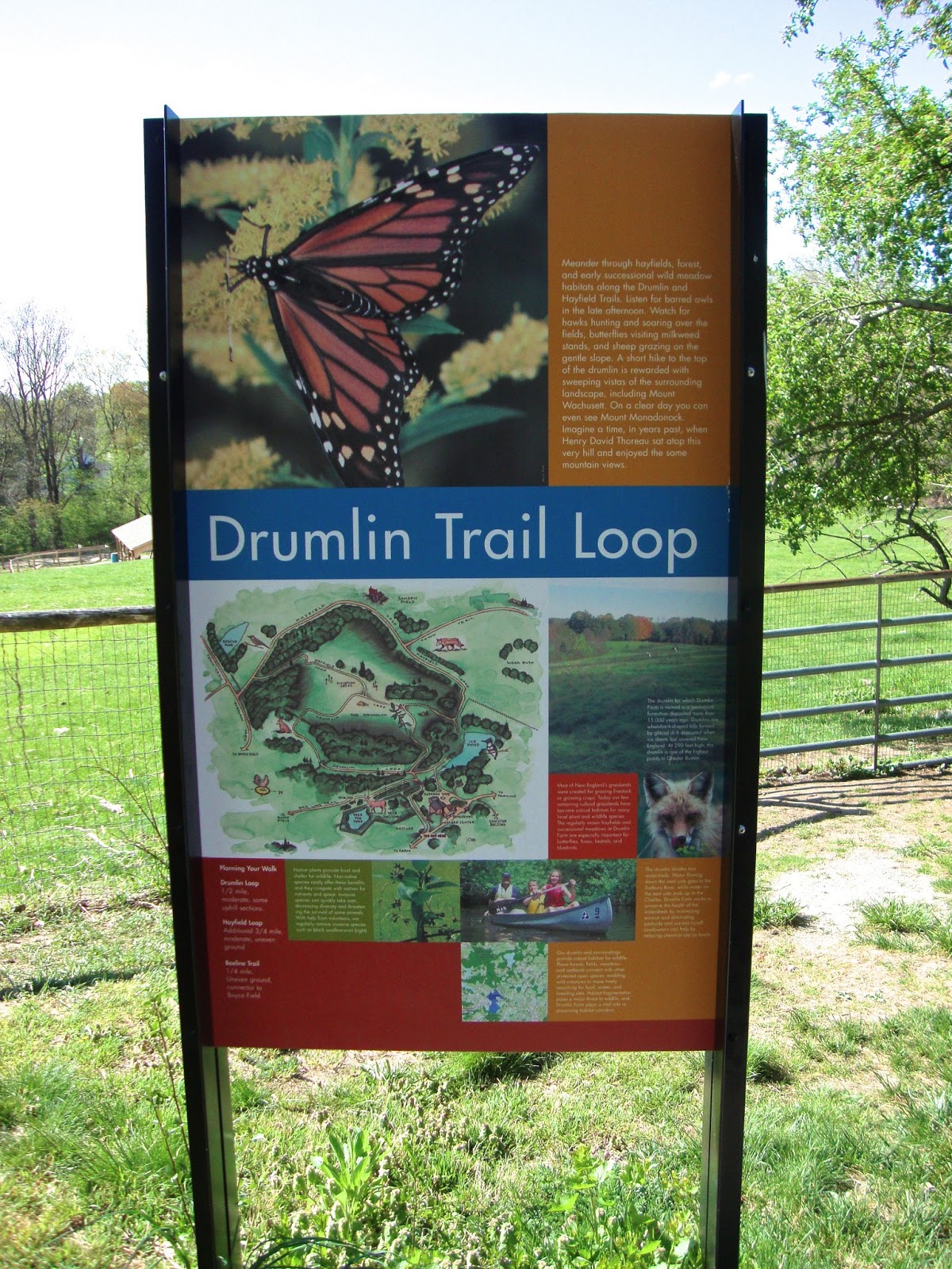 Glacial Massachusetts: Drumlin Farm