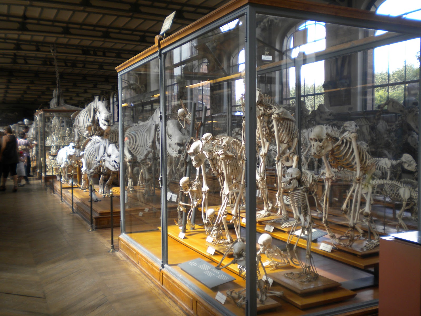 Groteskology: The Lovely Bones