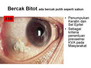 Lilia Sevilla Romero: Descripción de la materia que imparto