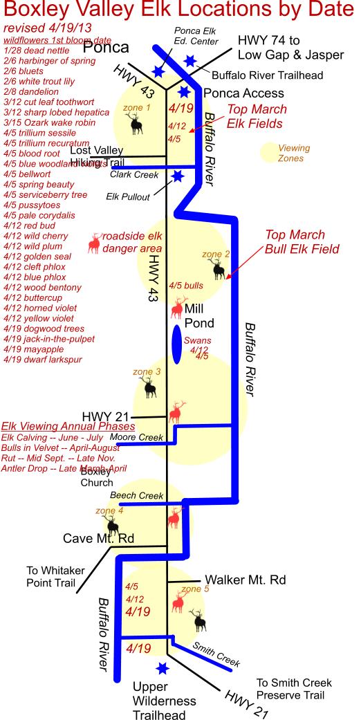 Arkansas Wildlife Photography: 4/19/13 Elk Viewing Good, Wildflowers ...