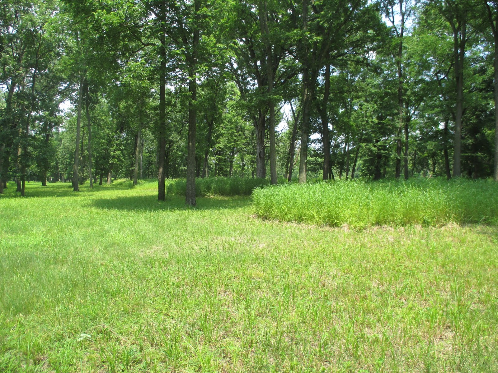 Backyard Excursions: Effigy Mounds: The Sny Magill Unit