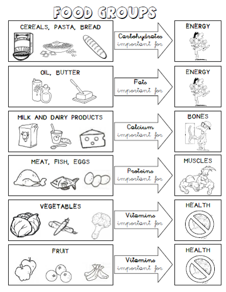 ciencia science 3: Food groups (review)
