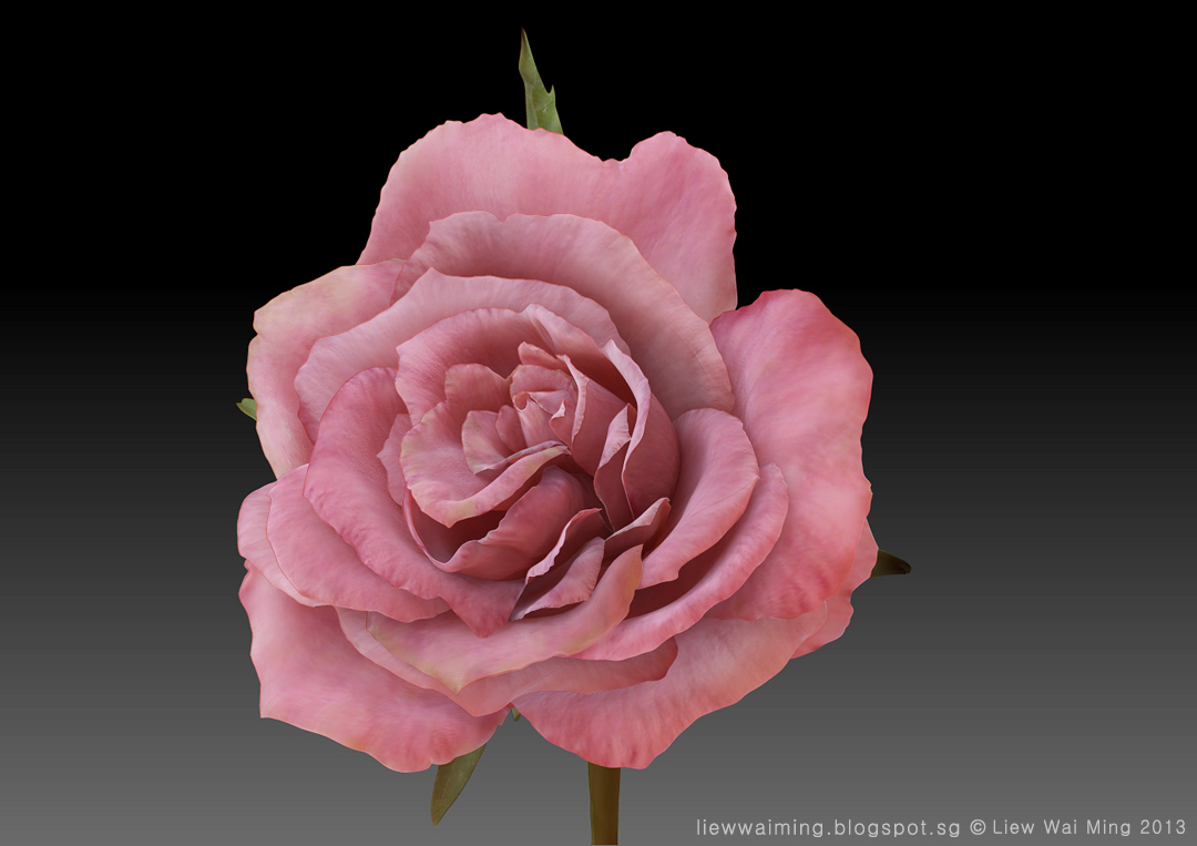 Liew Wai Ming Digital Arts: ZBrush Organic Model: The Pink Rose