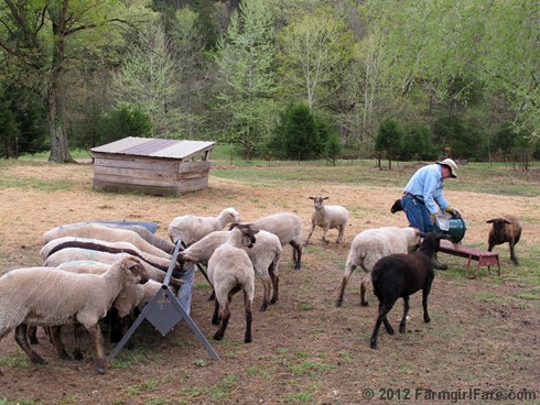 Farmgirl Fare: Tail End of the Week: Get Your Friday Farm Fix #4