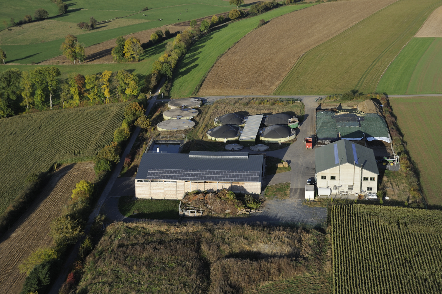 D'Millen: Geführte Besichtigungen